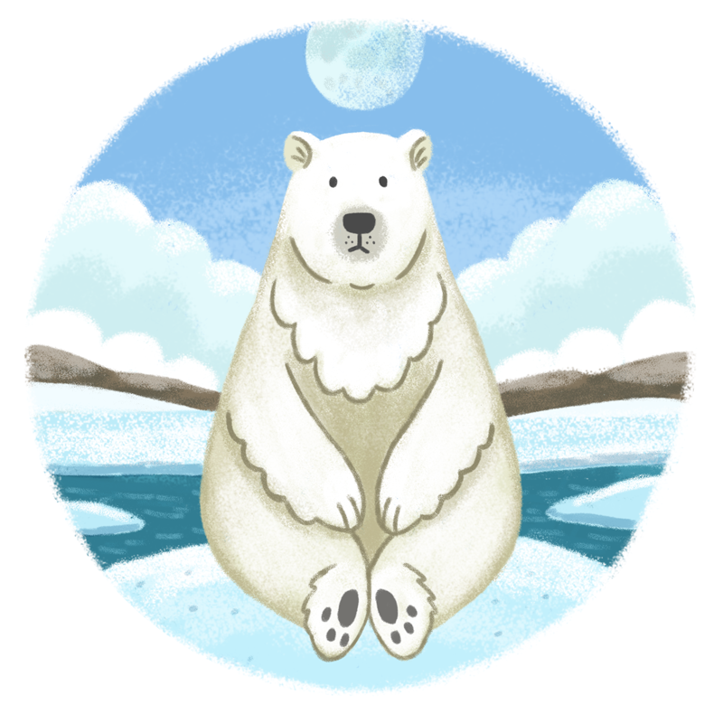 Bear Series - Alex Ashman Illustration & Design