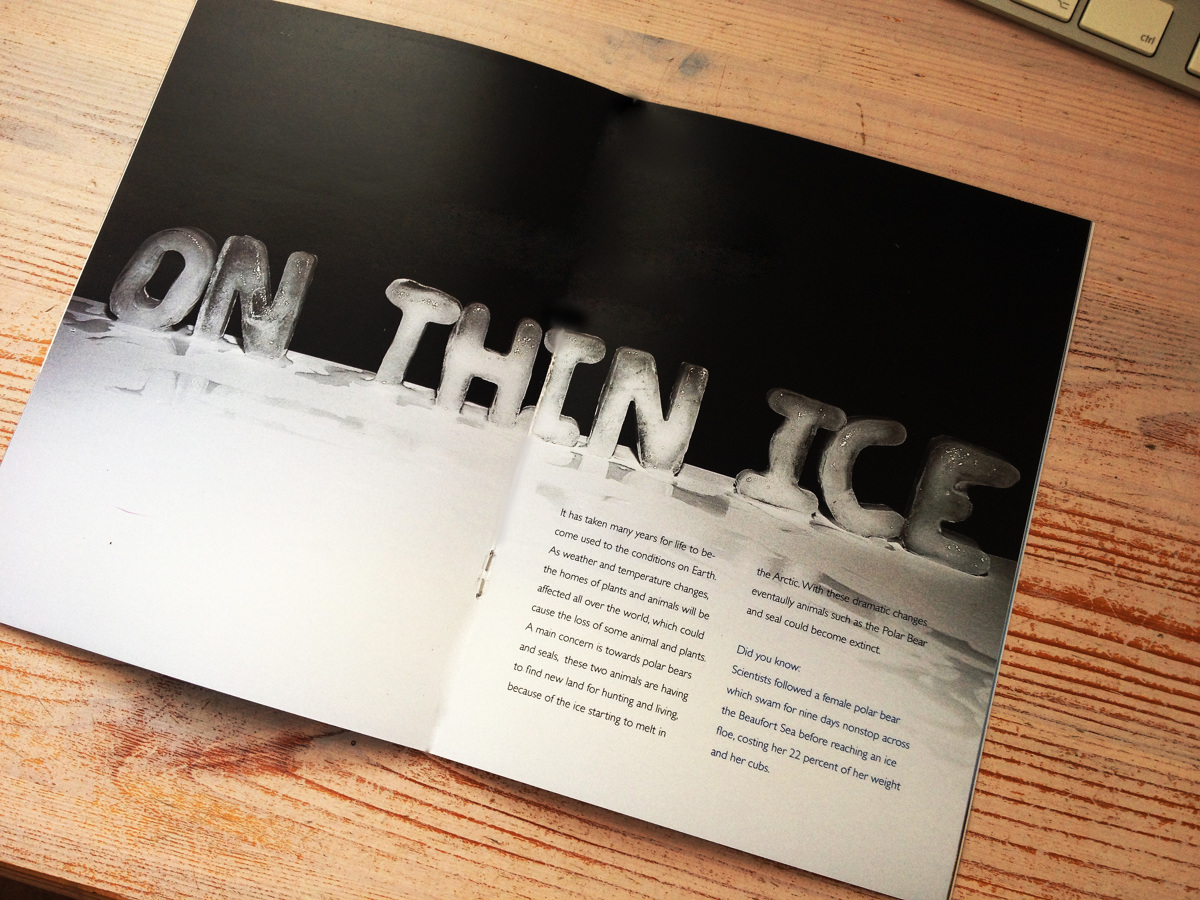 2 Degrees | Booklets - Lydia Strickland