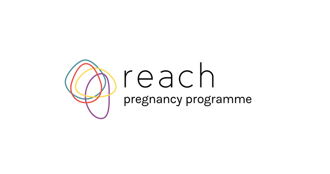 reach pregnancy programme - alessandracaputi