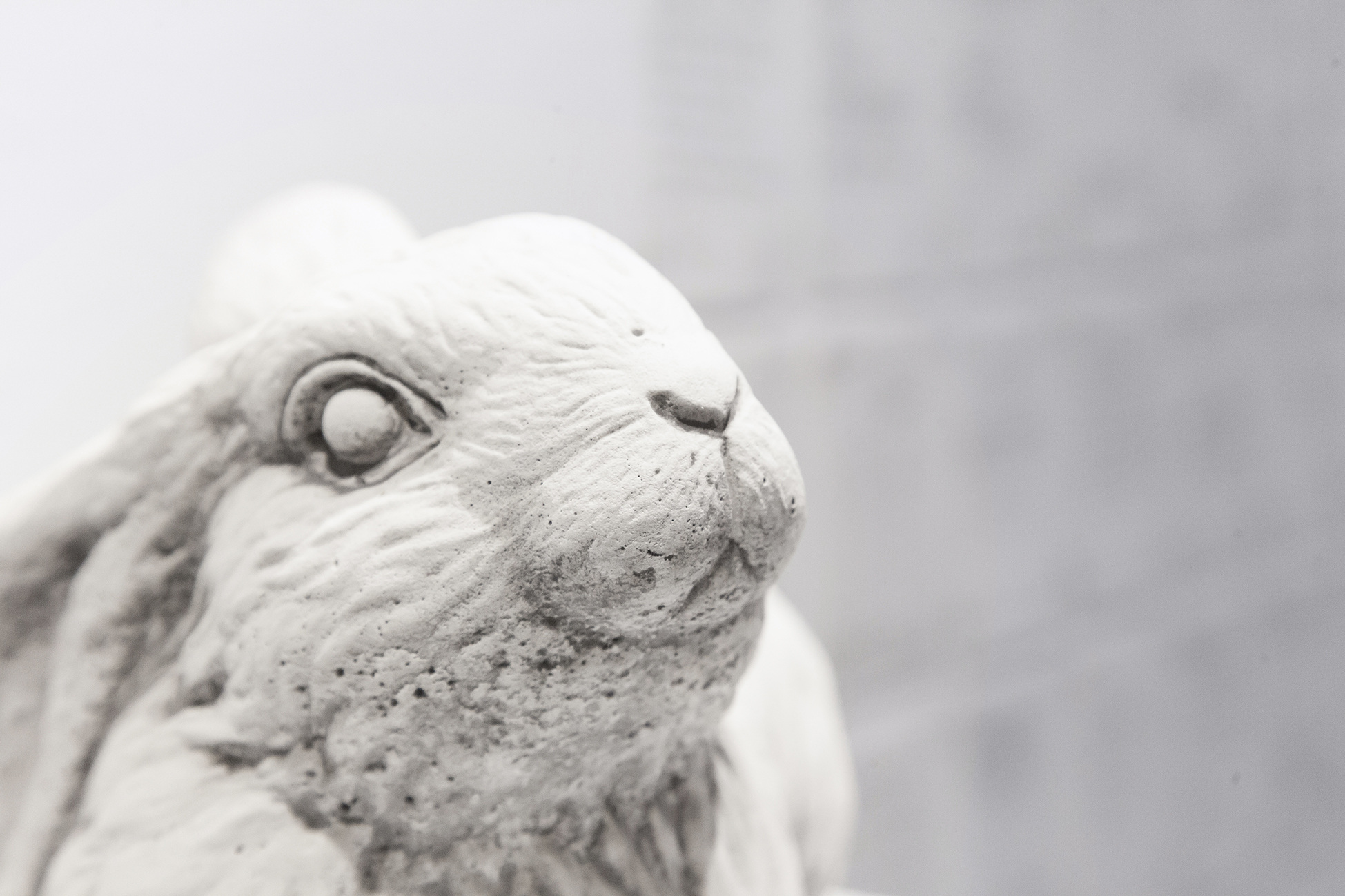 HE CAMINAT TOTS ELS CARRERS D'OLOT - Clara Nubiola . Territory and ...