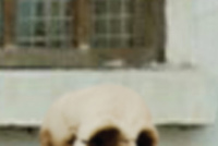 Simple* Water - Alex Felter