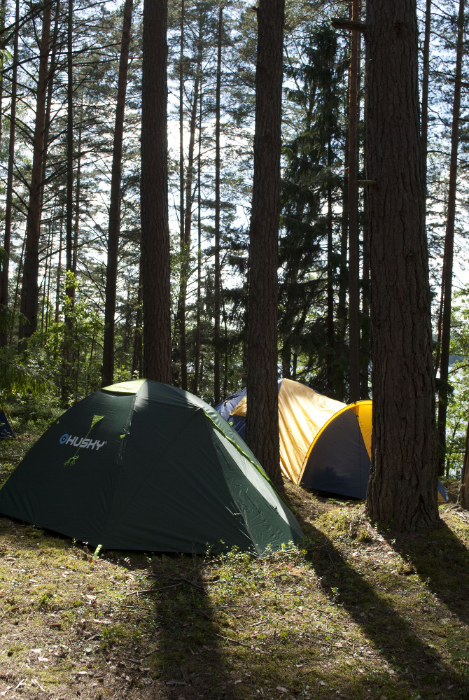 supynes - gianlucatesauro