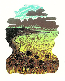 robinmackenzie.co.uk