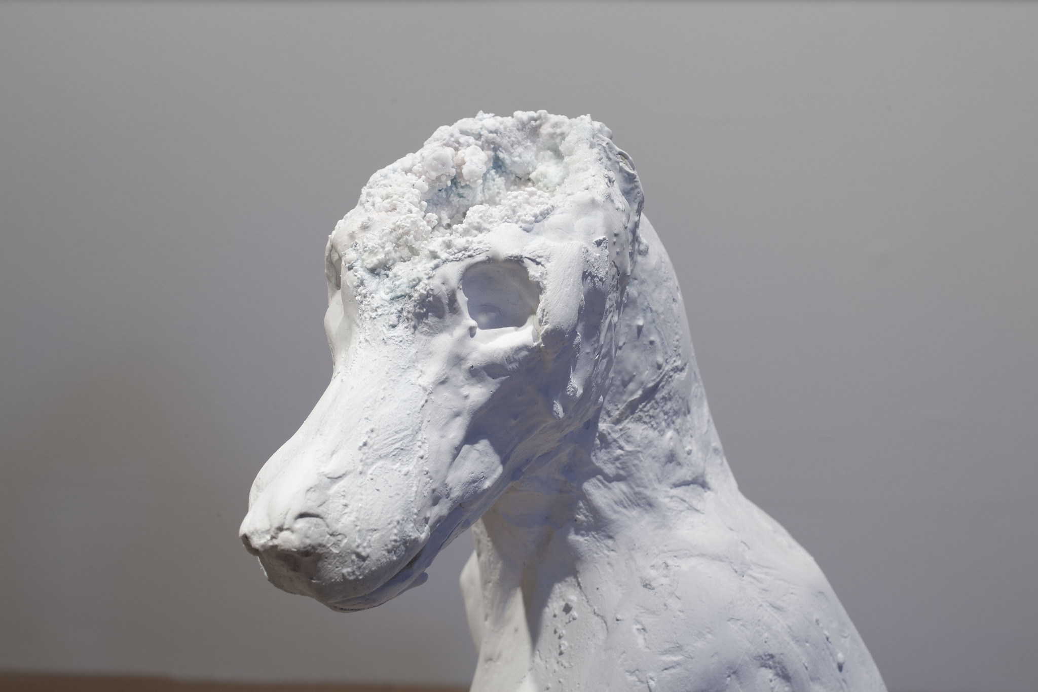 Léopard - Isabelle Demers