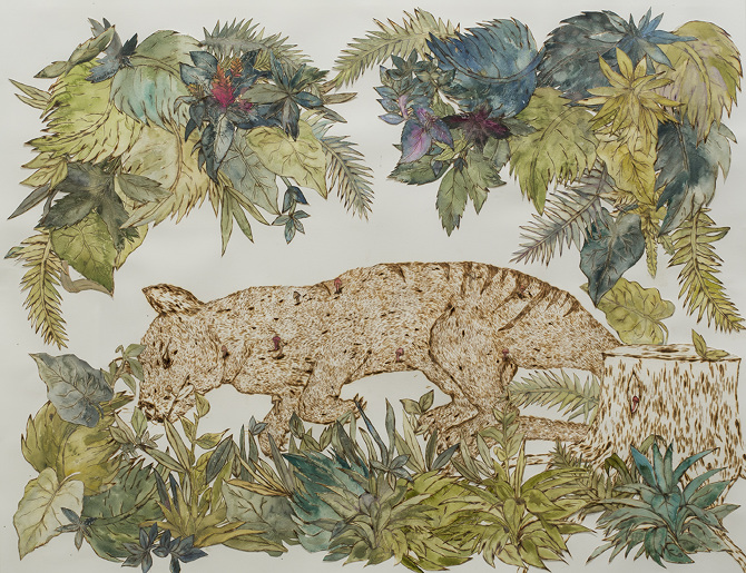 Dessins / pyrogravures - Isabelle Demers