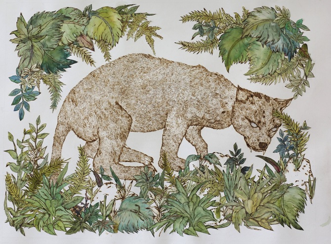 Dessins / pyrogravures - Isabelle Demers