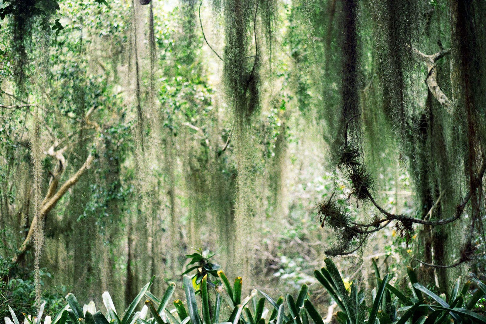 maps I - terra infinita