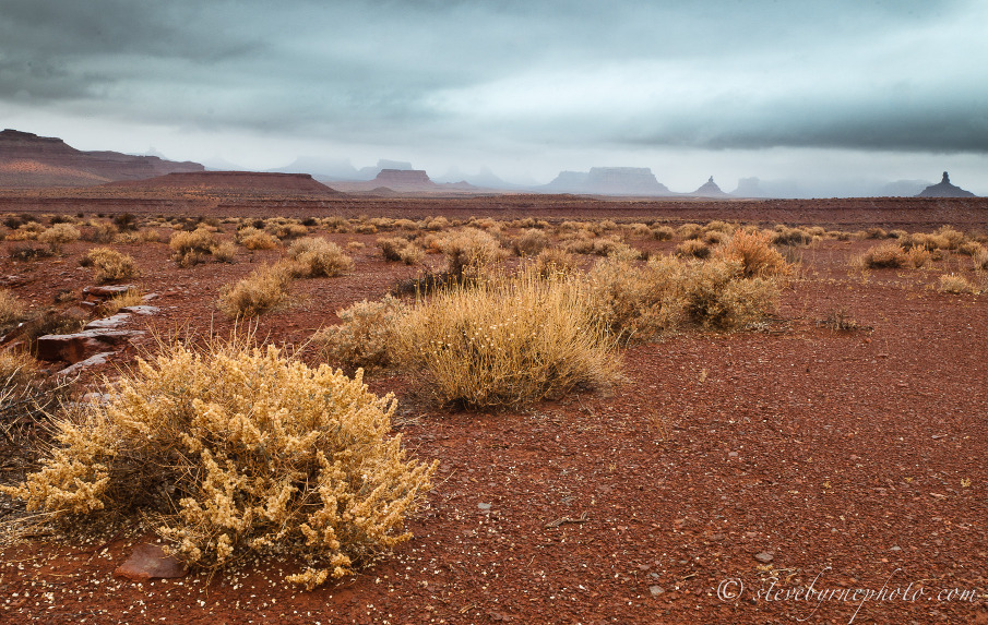 American Deserts - Steve Byrne Photography