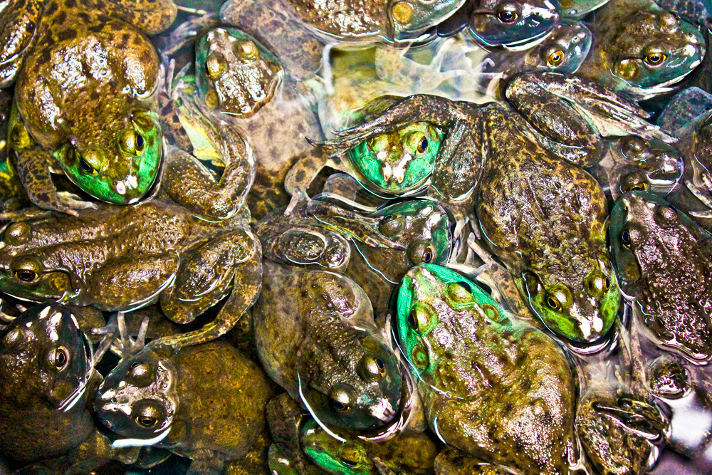 Other Things - JHTaler