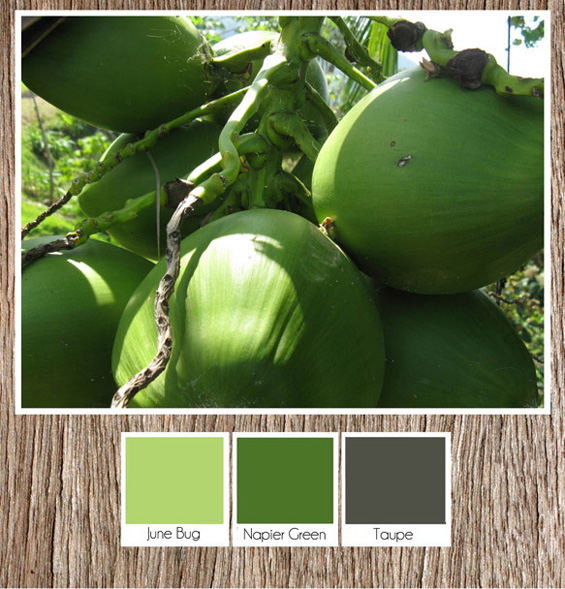 Colours Costa Rica - sideorders