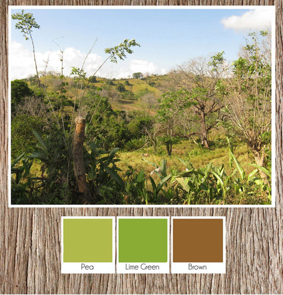 Colours Costa Rica - sideorders