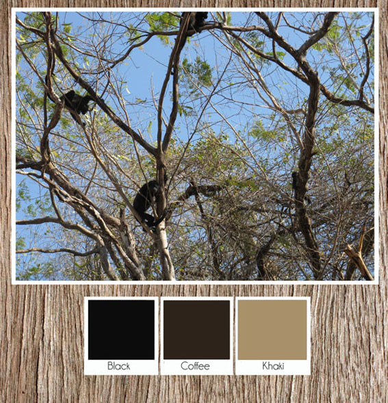 Colours Costa Rica - sideorders