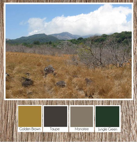 Colours Costa Rica - sideorders