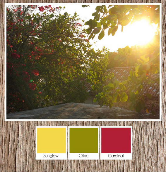 Colours Costa Rica - sideorders