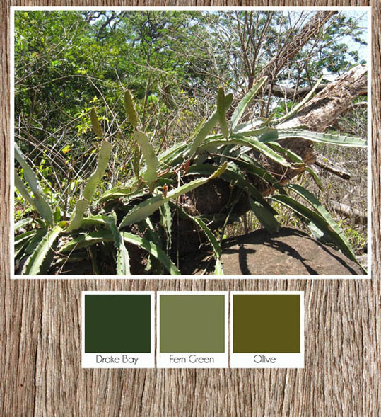 Colours Costa Rica - sideorders