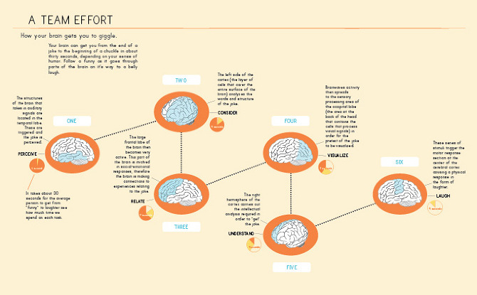 Laughter Infographics - Patricia Kirsch