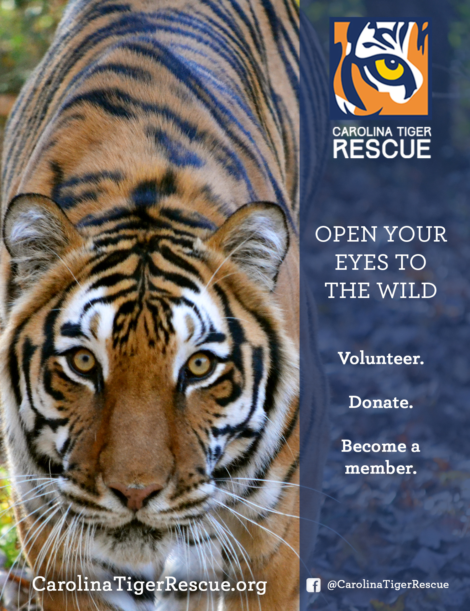 Carolina Tiger Rescue - Super Awesome Design