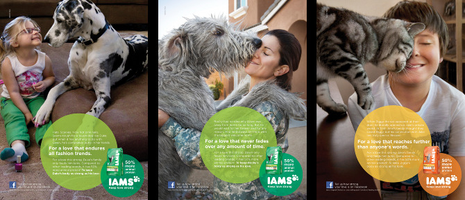Iams - Not Just An Ad Guy