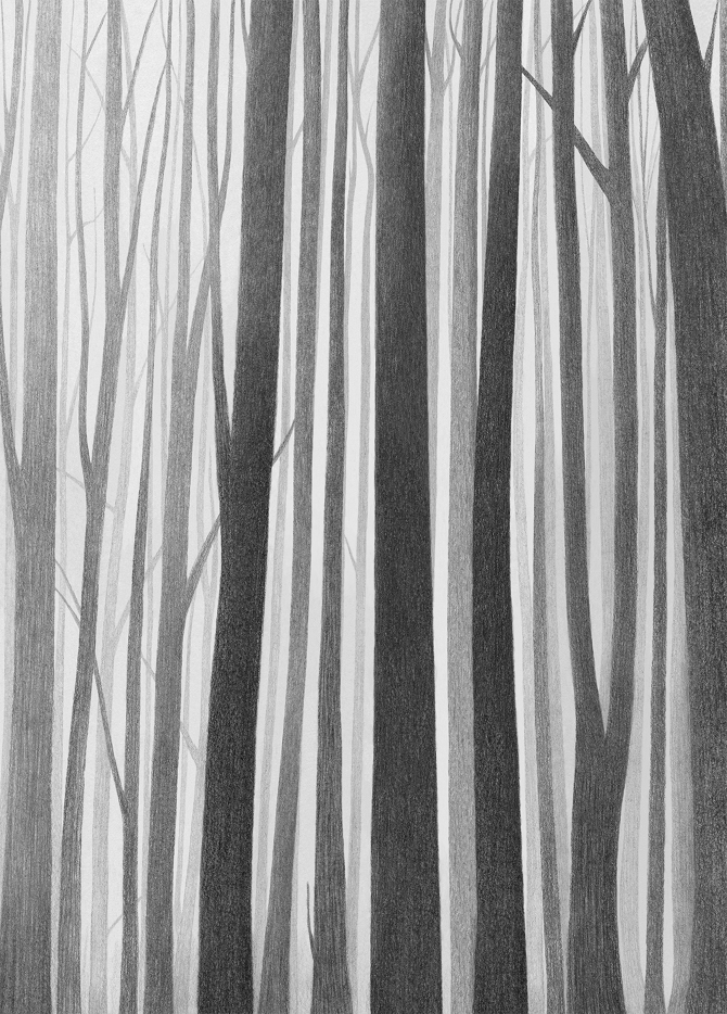 Print design 'Wooden lines' - HELENA FRANK illustration