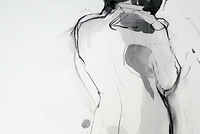 Inks - Colleen Stokes