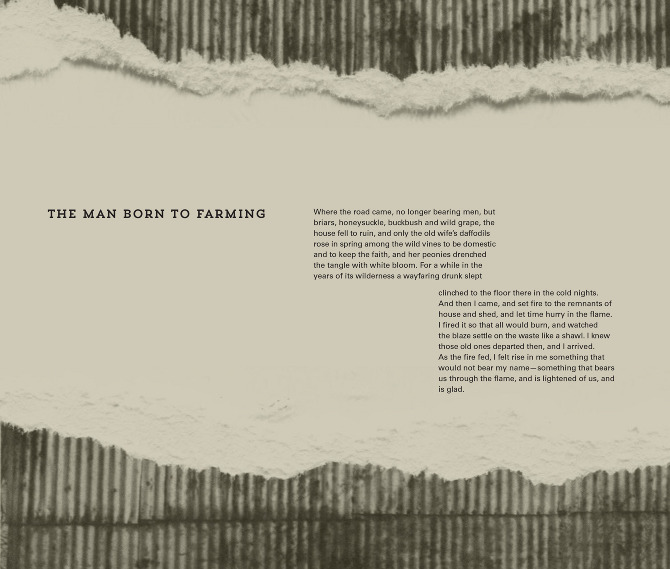 Wendell Berry - Becca Shuman