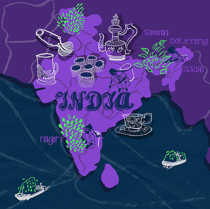 Map - India's Tea Trade - shanehaarerillustration.com