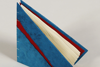 Book of Babel - A.M. Darke
