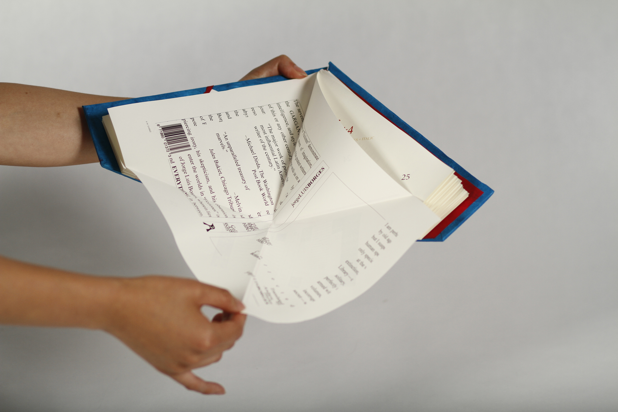 Book of Babel - A.M. Darke