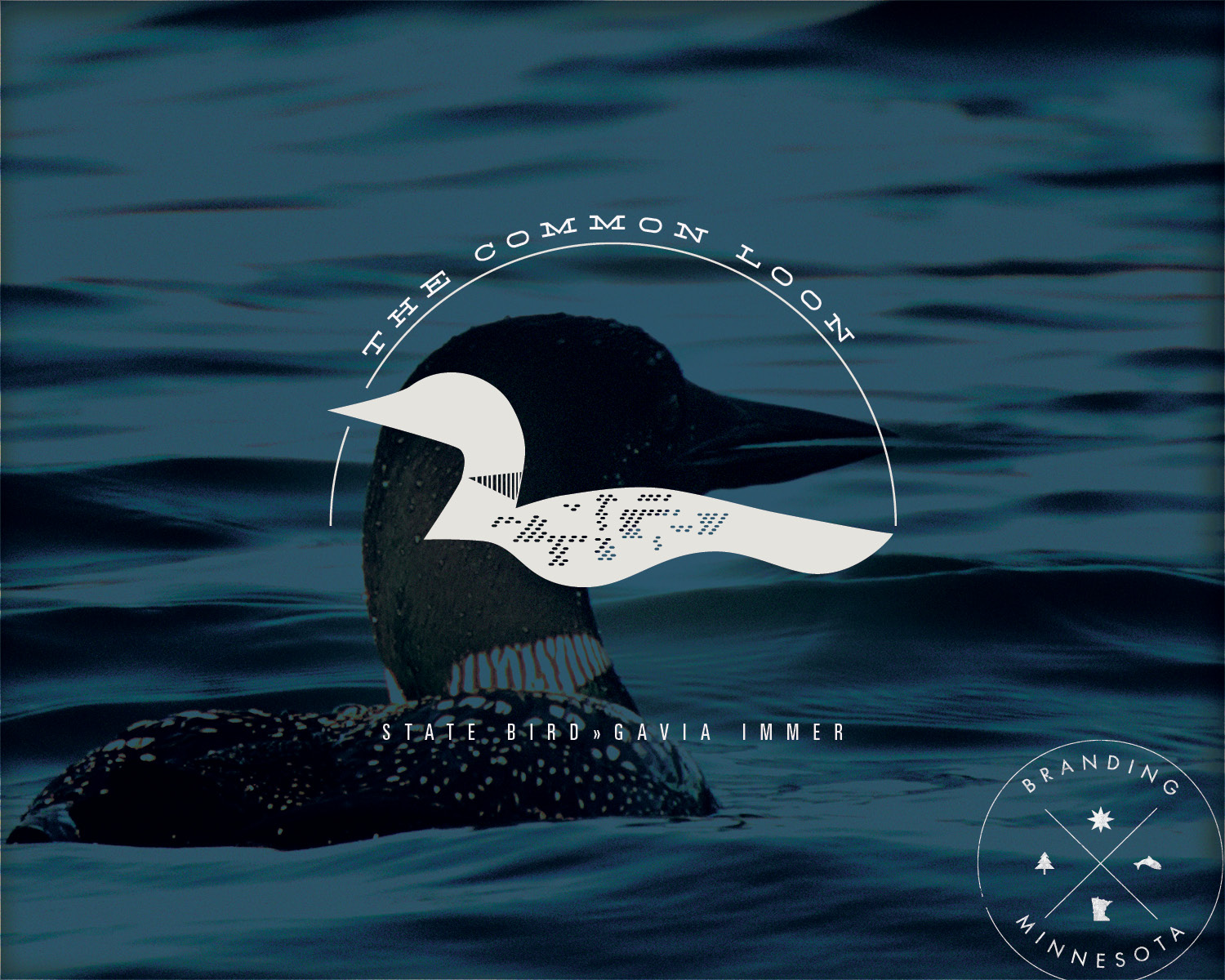 State Bird - Branding Minnesota