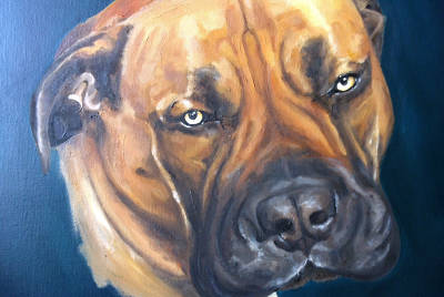 Charlie Sutton Illustration