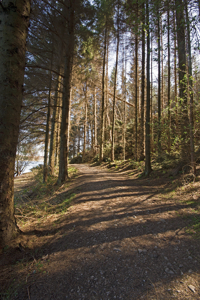 Documentary/Landscape Photography - Adam Dodson Photography