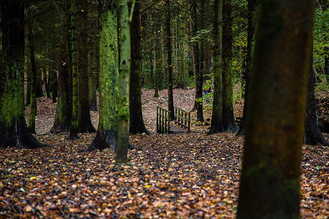 Documentary/Landscape Photography - Adam Dodson Photography