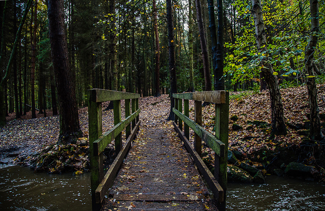 Documentary/Landscape Photography - Adam Dodson Photography