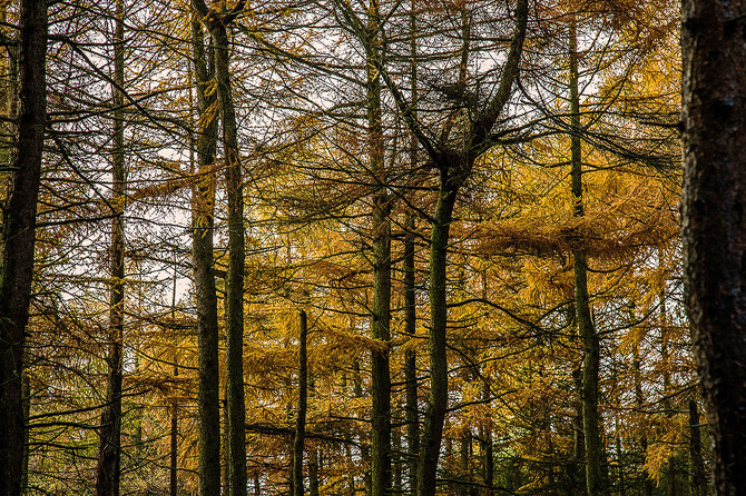 Documentary/Landscape Photography - Adam Dodson Photography