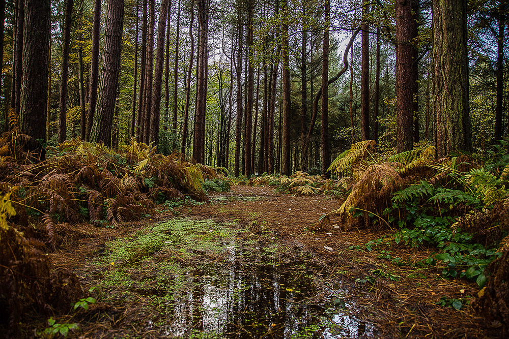 Documentary/Landscape Photography - Adam Dodson Photography