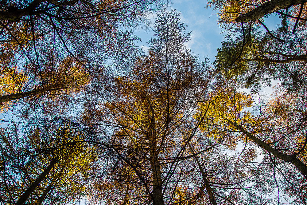 Documentary/Landscape Photography - Adam Dodson Photography