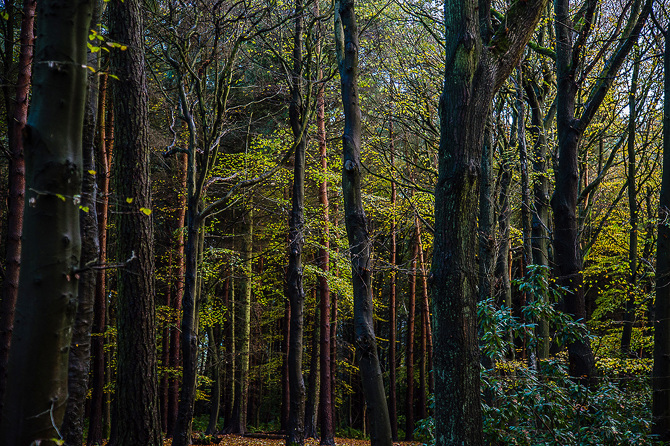 Documentary/Landscape Photography - Adam Dodson Photography