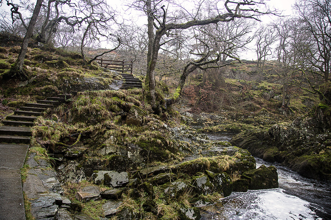 Documentary/Landscape Photography - Adam Dodson Photography