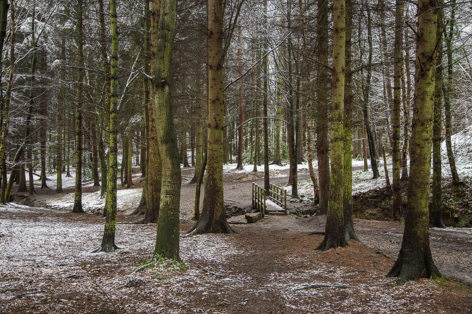 Documentary/Landscape Photography - Adam Dodson Photography