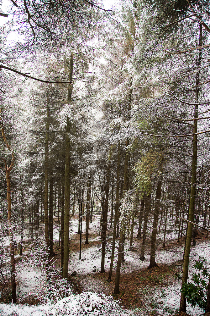 Documentary/Landscape Photography - Adam Dodson Photography