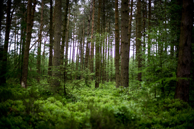 Documentary/Landscape Photography - Adam Dodson Photography