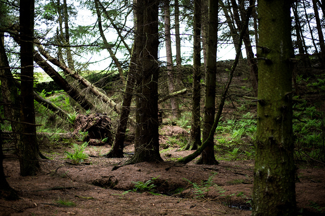 Documentary/Landscape Photography - Adam Dodson Photography