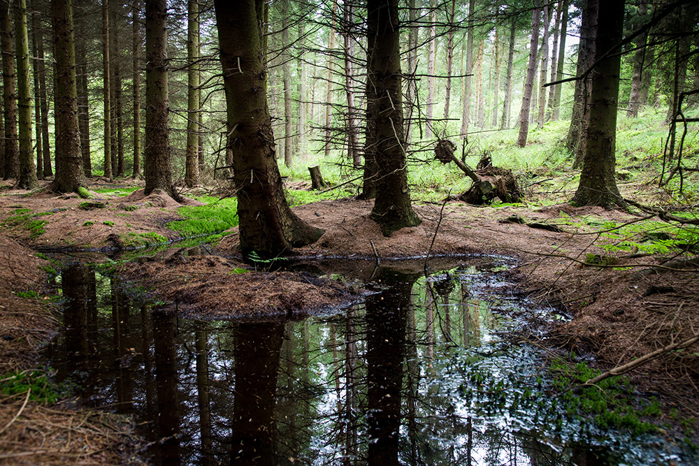 Documentary/Landscape Photography - Adam Dodson Photography
