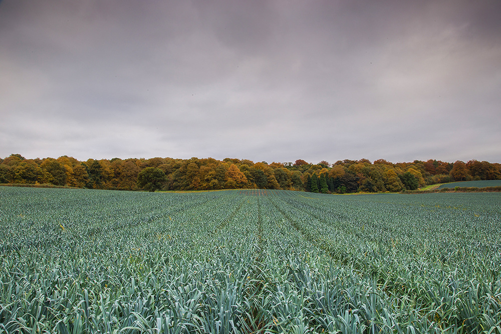 Documentary/Landscape Photography - Adam Dodson Photography