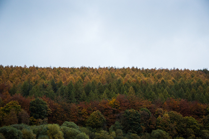Documentary/Landscape Photography - Adam Dodson Photography