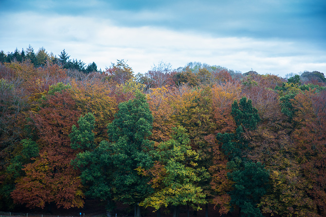 Documentary/Landscape Photography - Adam Dodson Photography