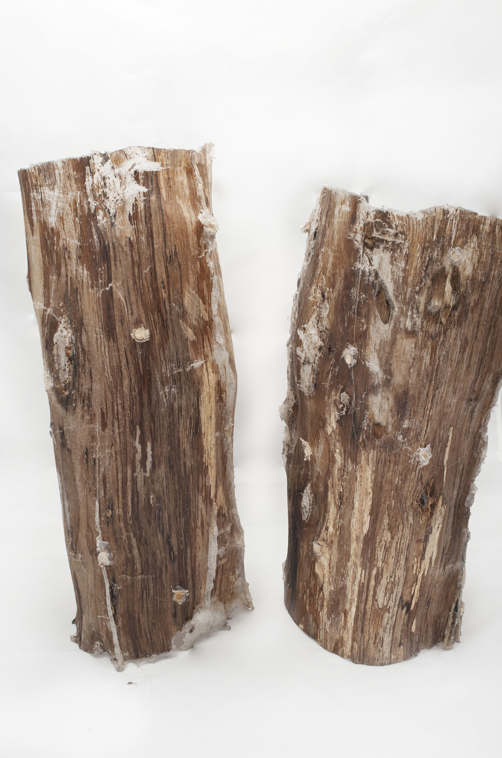 Log Lights - Joshua Freedman