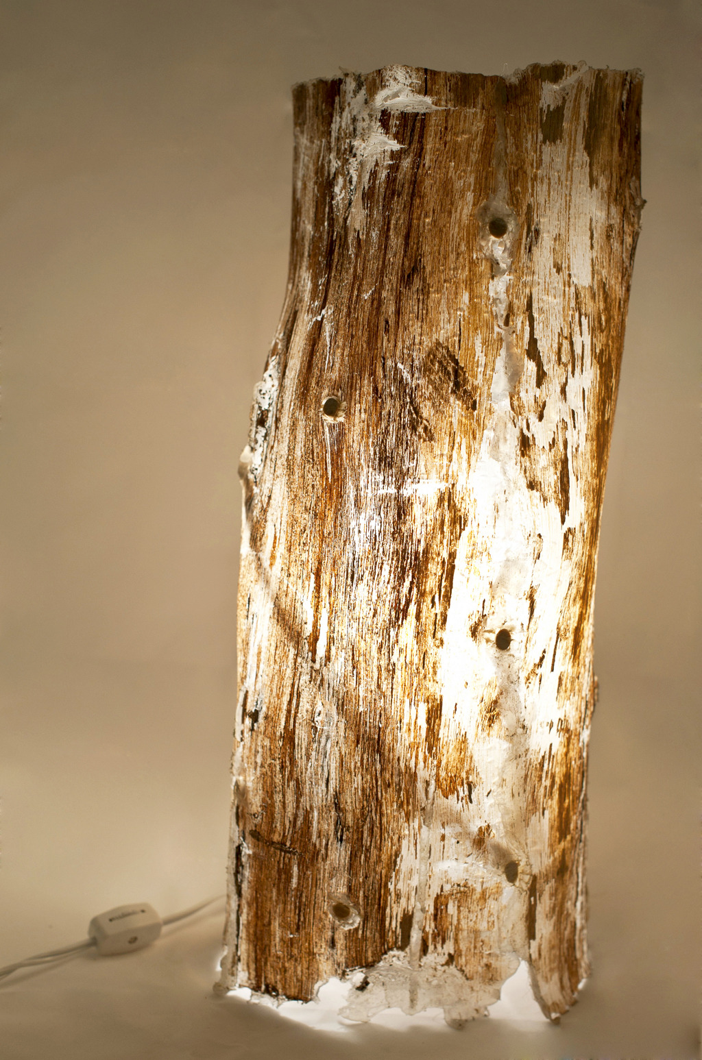 Log Lights - Joshua Freedman