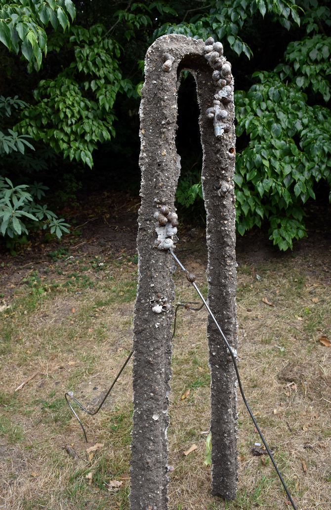 All my friends are snails - Alex McNamee