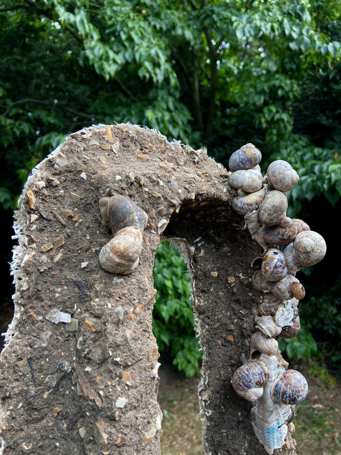 All my friends are snails - Alex McNamee